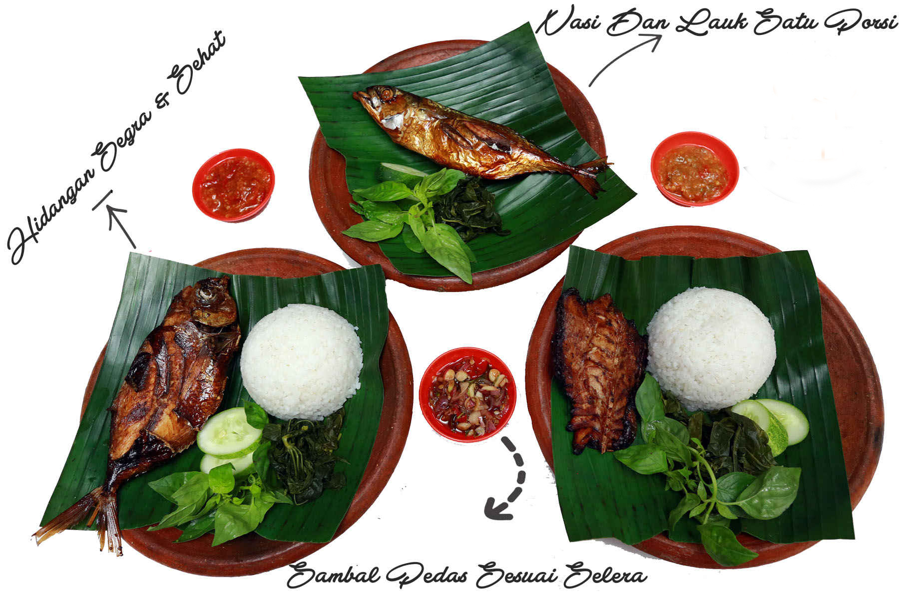 Catering Harian Tangerang Enak & Murah - Catering Harian Tangerang